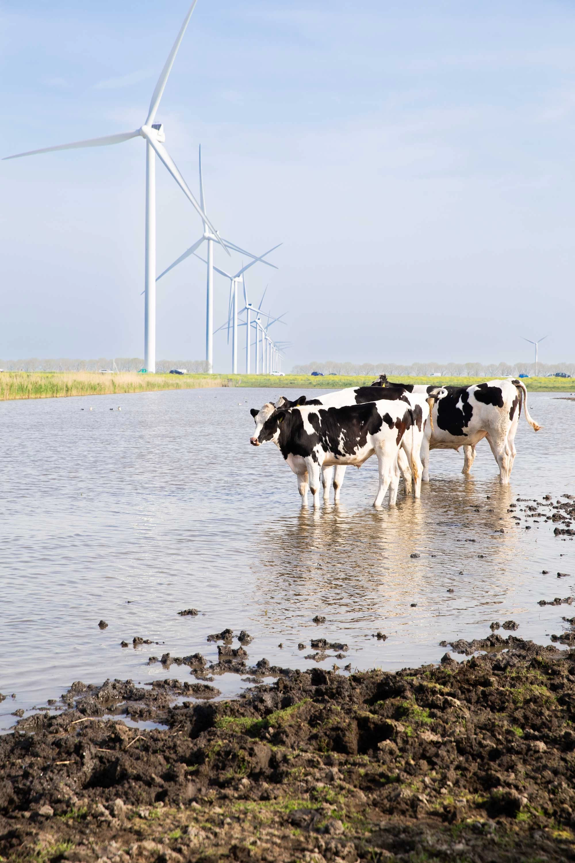 Arnold & Diana van Veelen | Grutto